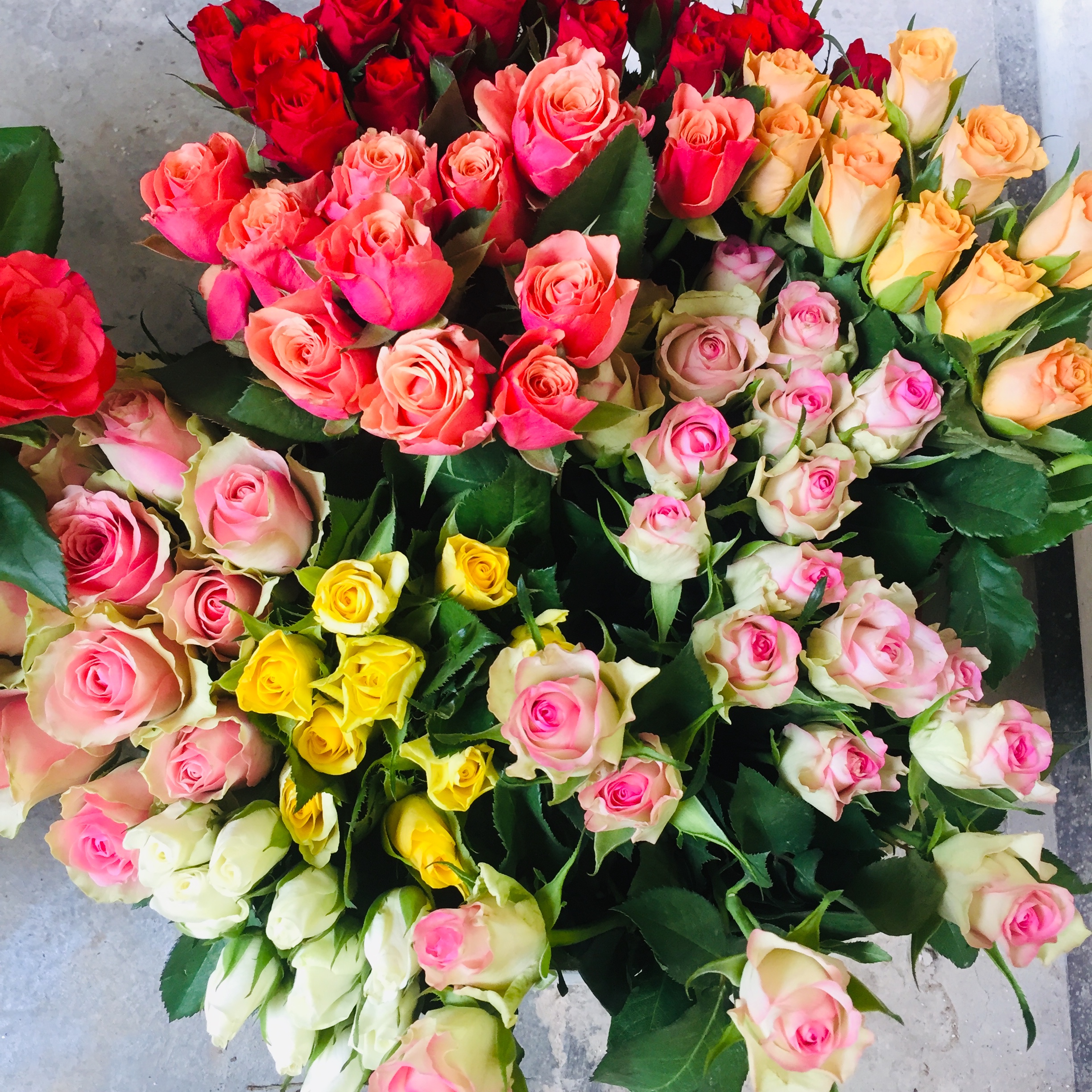 TUTO: SÉCHER DES ROSES - Ateliers pour colorer les idées et révéler sa ...