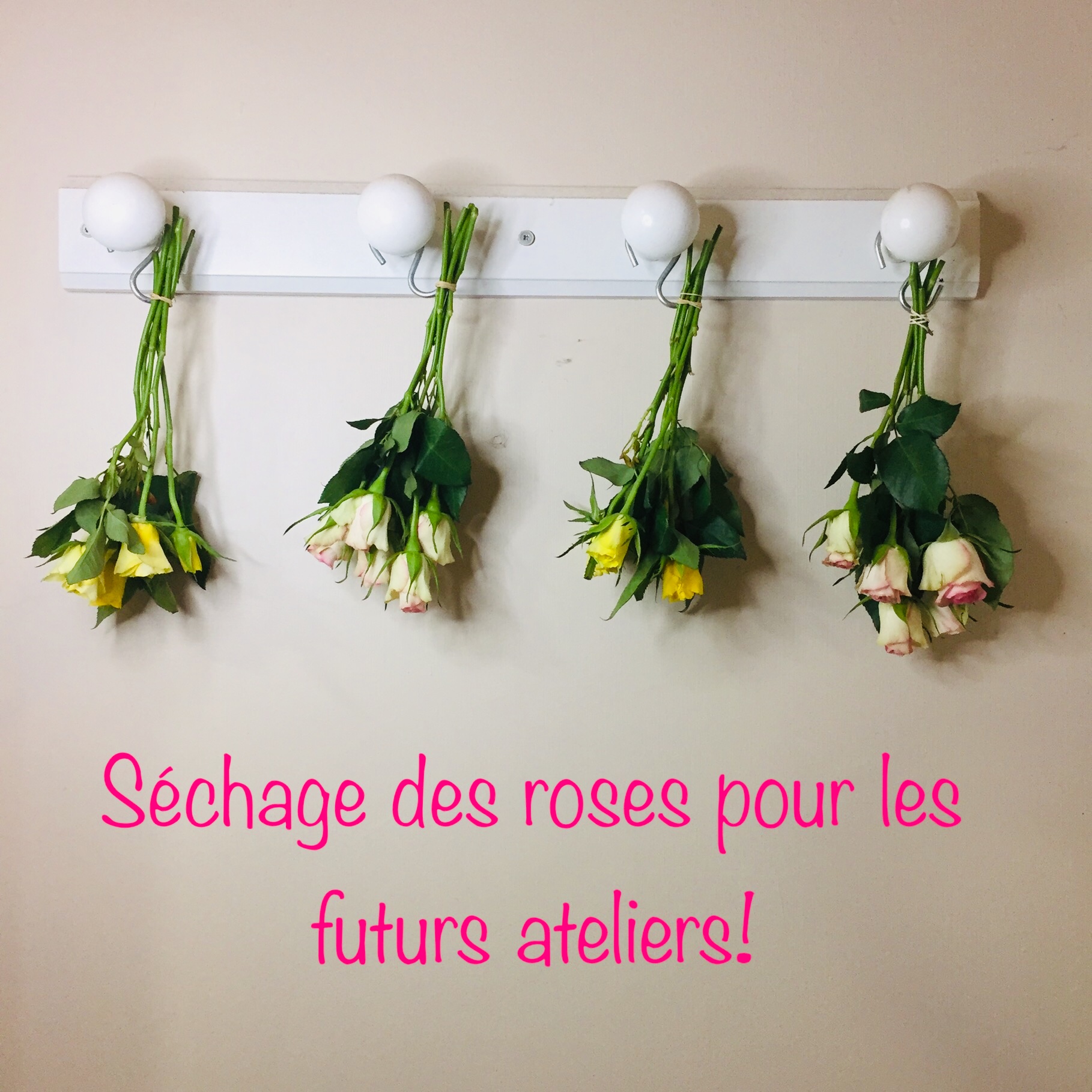 TUTO: SÉCHER DES ROSES - Ateliers pour colorer les idées et révéler sa ...